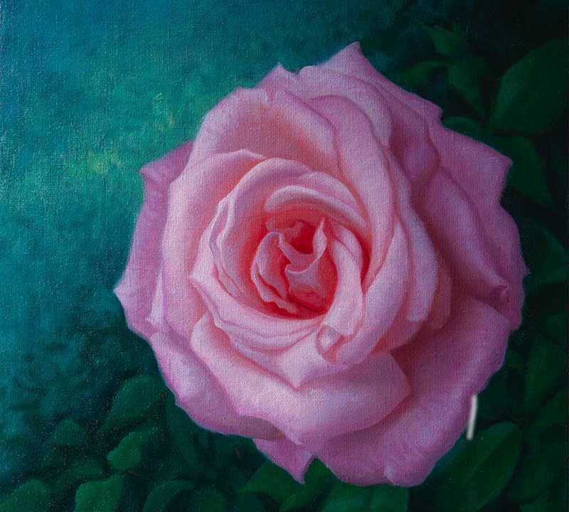 A Pink Rose Painting with a Mysterious Background – Vincent Keeling